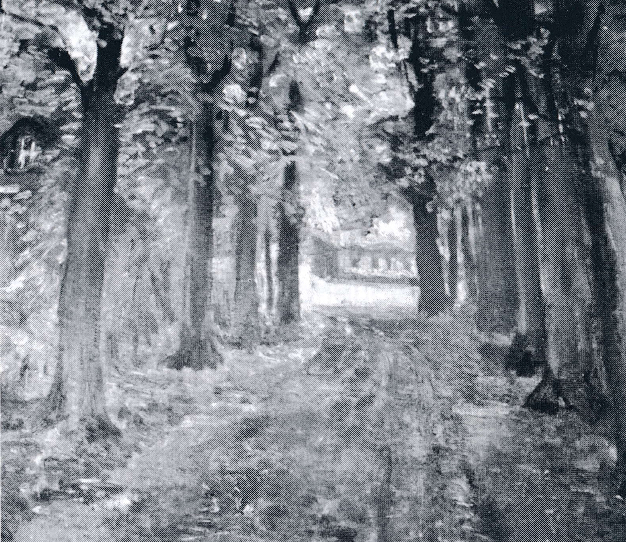 Historische Kring Laren93-Cornelia_Boellaard_Huis_Hein_Duvel